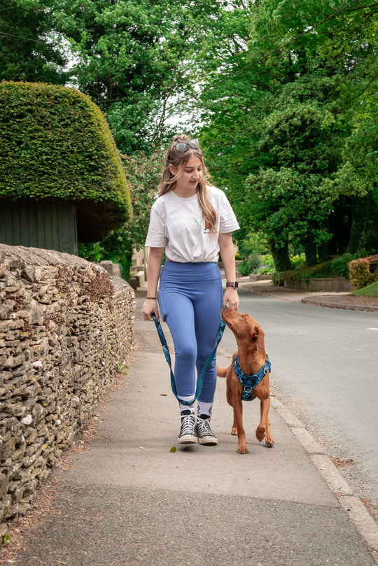 Dog Leads - Secure Locking Carabiner Dog Leashes For Every Adventure ...