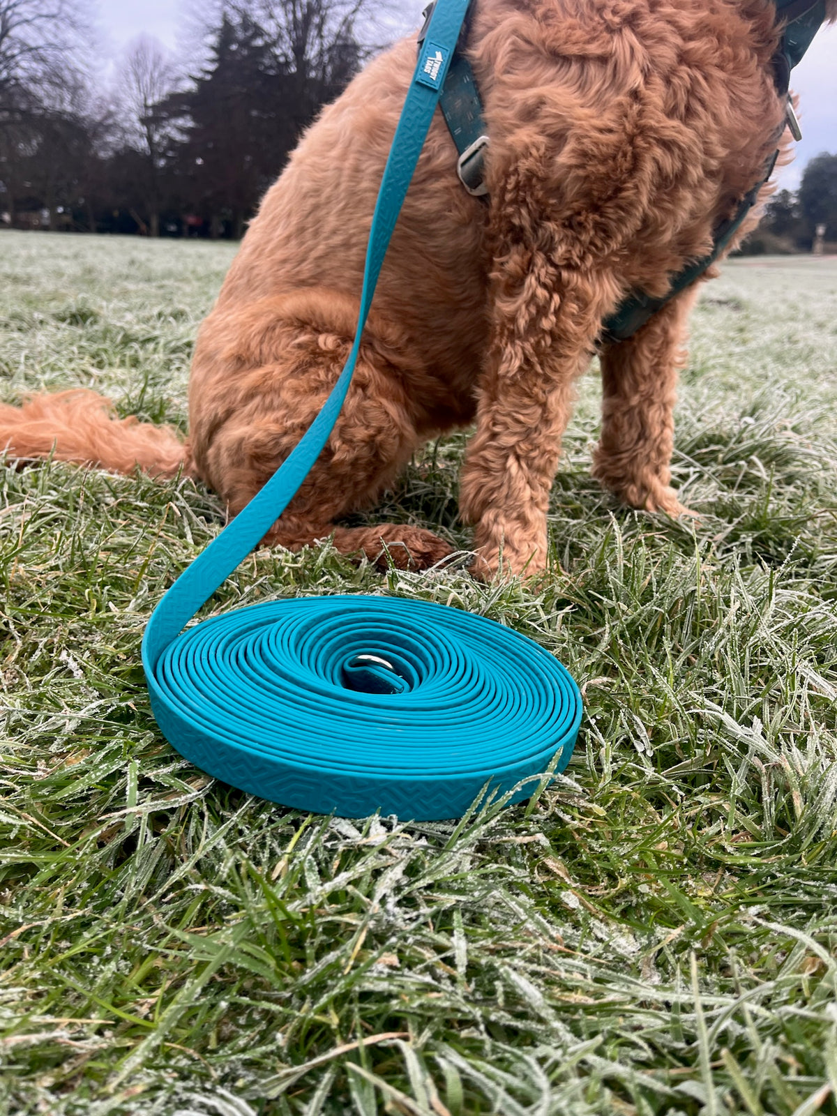 TWIGGY TAGS OUTDOOR DOG GEAR – Twiggy Tags